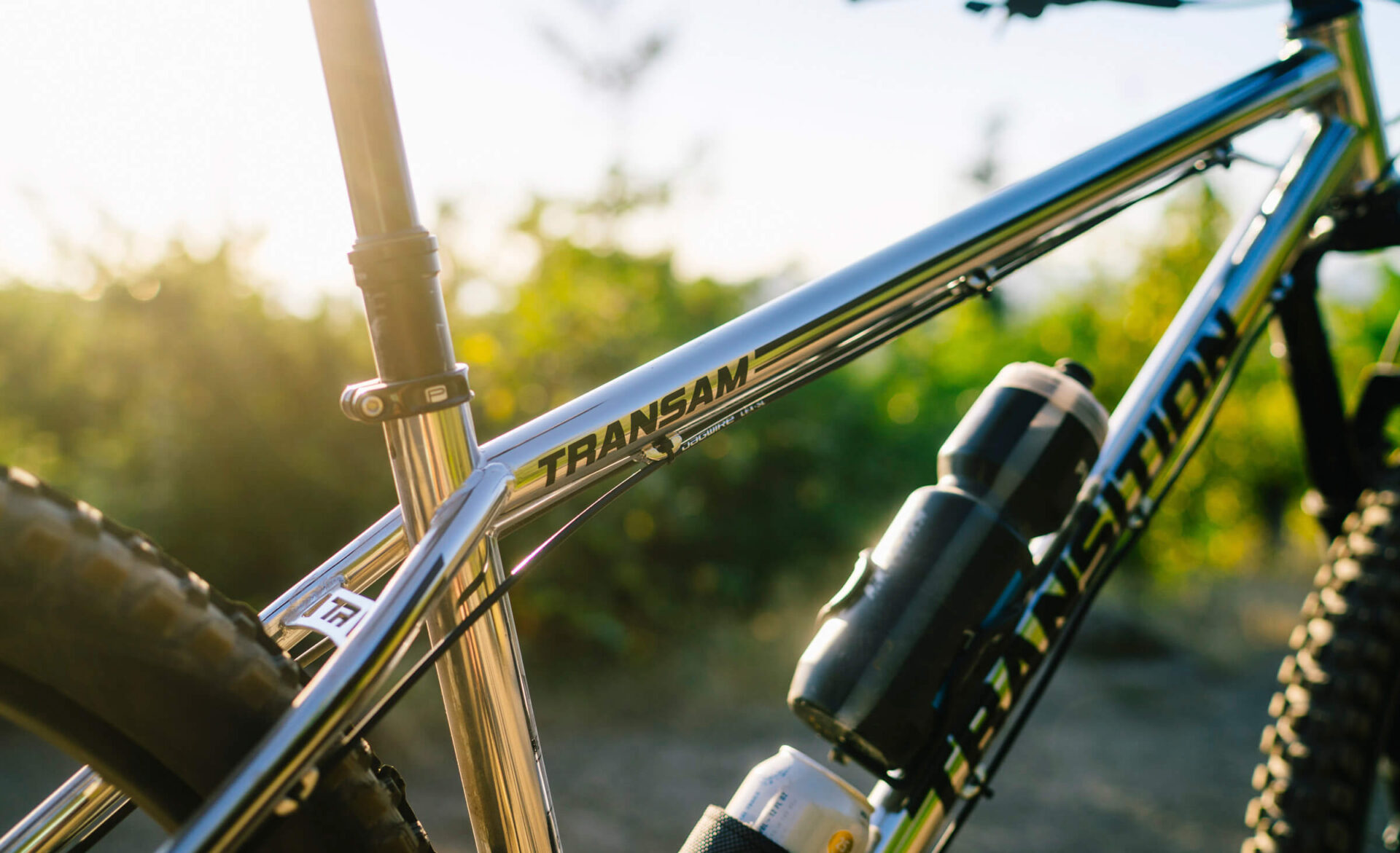 Nouveauté | Transition TransAM : le grand retour de l'Endurigide ...